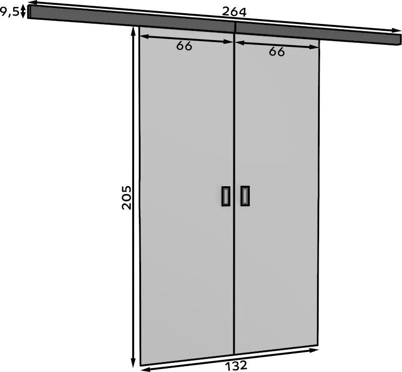 ADRK Furniture Posuvné nástěnné dvoukřídlé dveře TOPPO 120