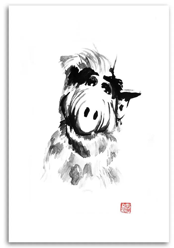 Gario Obraz na plátně Alf portrét - Péchane Rozměry: 40 x 60 cm