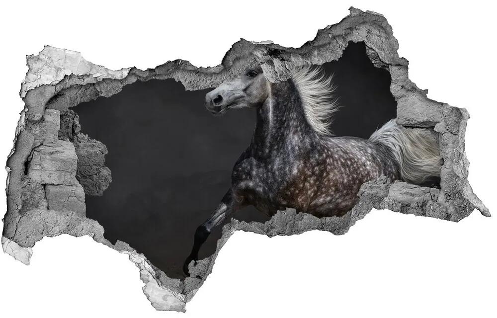 Wallmuralia Díra 3D fototapeta na stěnu Šedý arabský kůň 95x73 cm