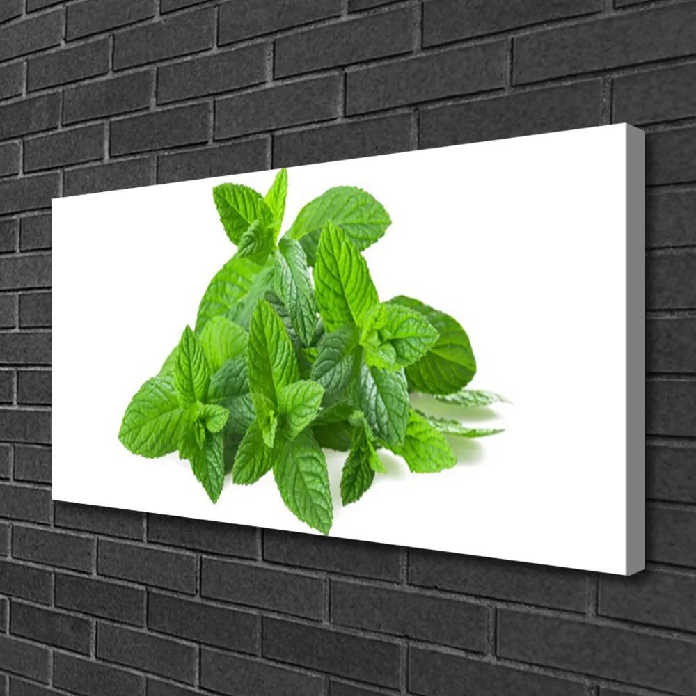 Obraz na plátně Máta Rostlina Příroda 100x50 cm