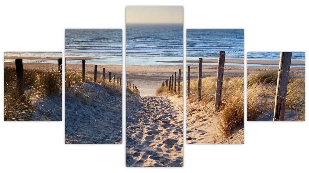 Obraz - Cesta k pláži Severního moře, Nizozemsko (125x70 cm)