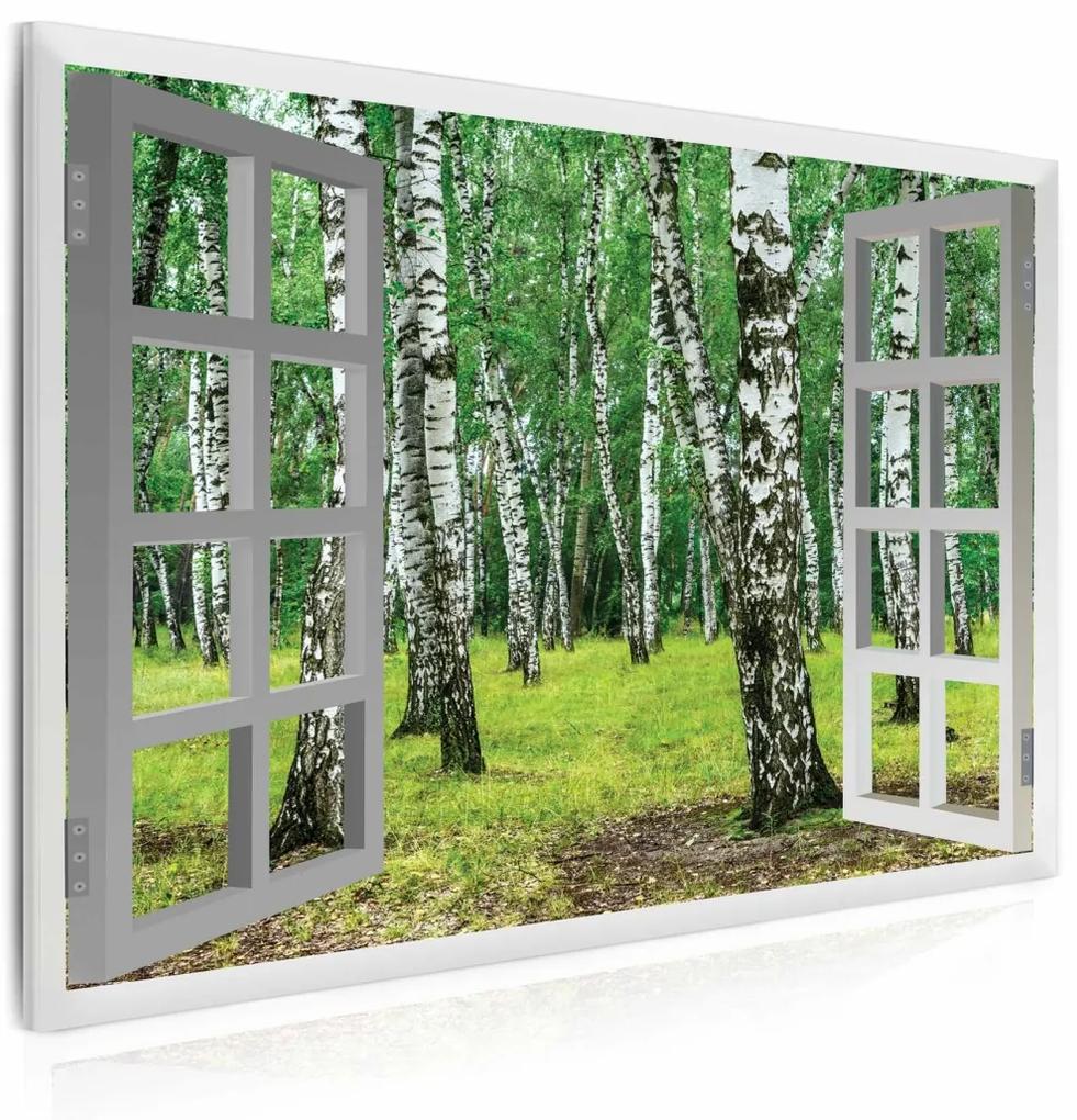 Malvis Malvis Obraz březový háj za oknem  150x130 cm