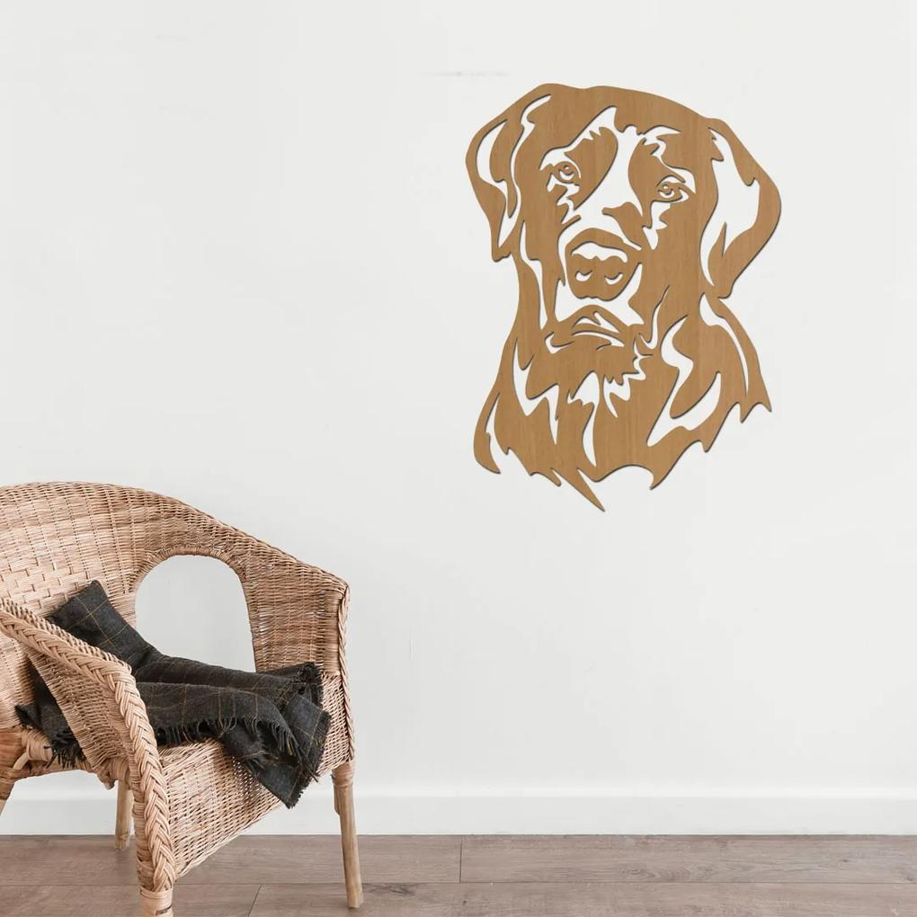 dřevo života Dřevěná dekorace psa Labrador Rozměry (cm): 22x30, Barevný vzor: Horský dub