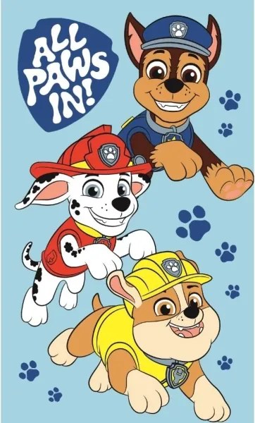 Jerry Fabrics Dětský ručník Paw Patrol Boys 30x50 cm