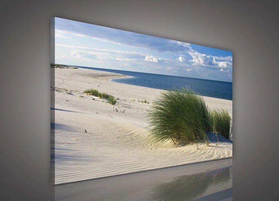 Postershop Obraz na plátně: Písečná pláž (1) - 75x100 cm