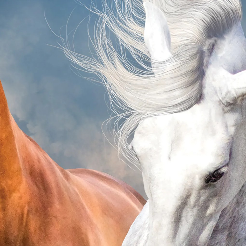 Malvis ® Fototapeta Koně v klusu Vel. (šířka x výška): 360 x 260 cm