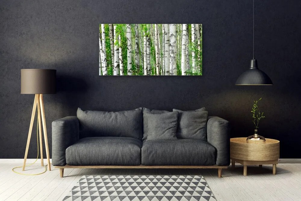 Obraz na skle Les Rostlina Příroda 100x50 cm
