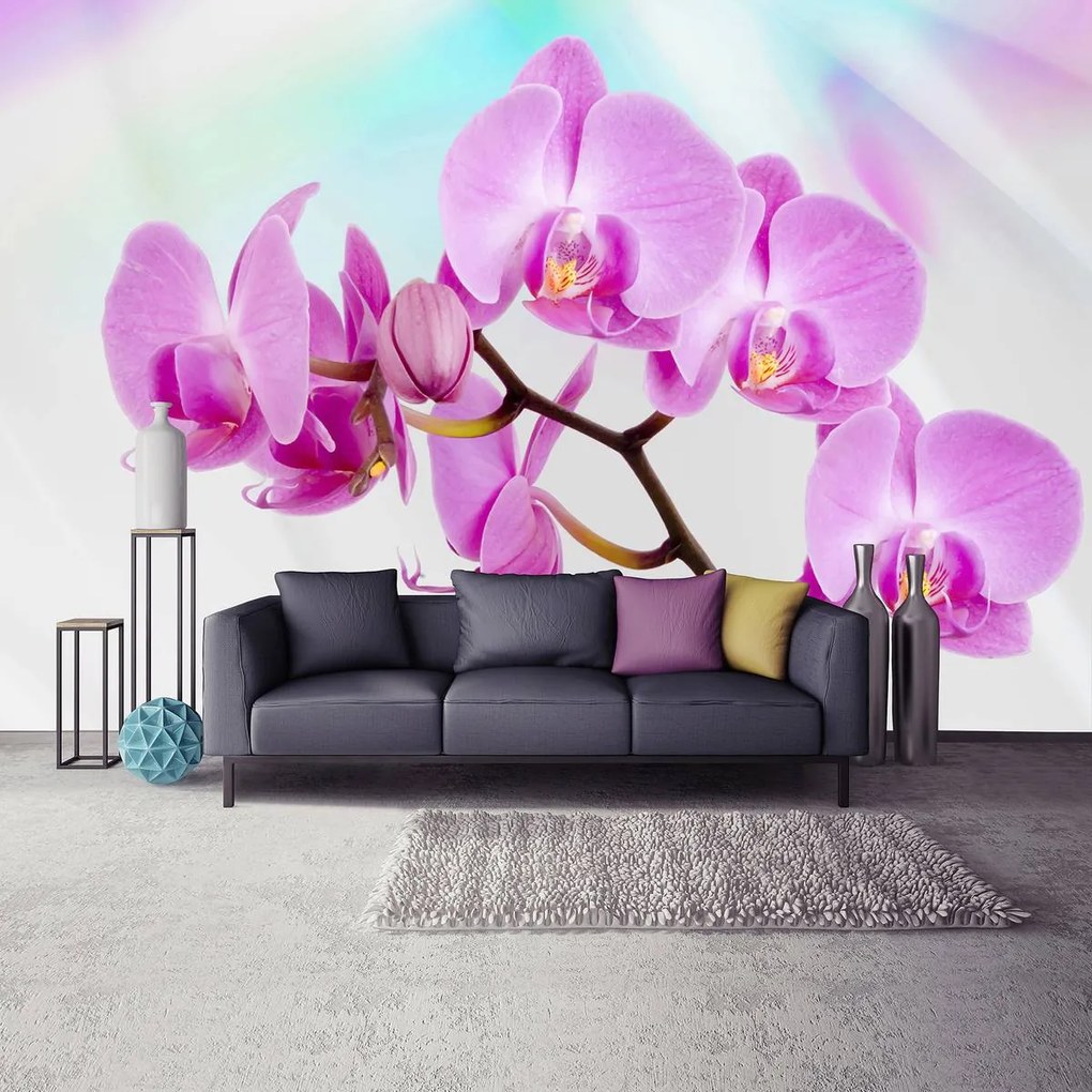 Fototapeta - Orchidej (152,5x104 cm)