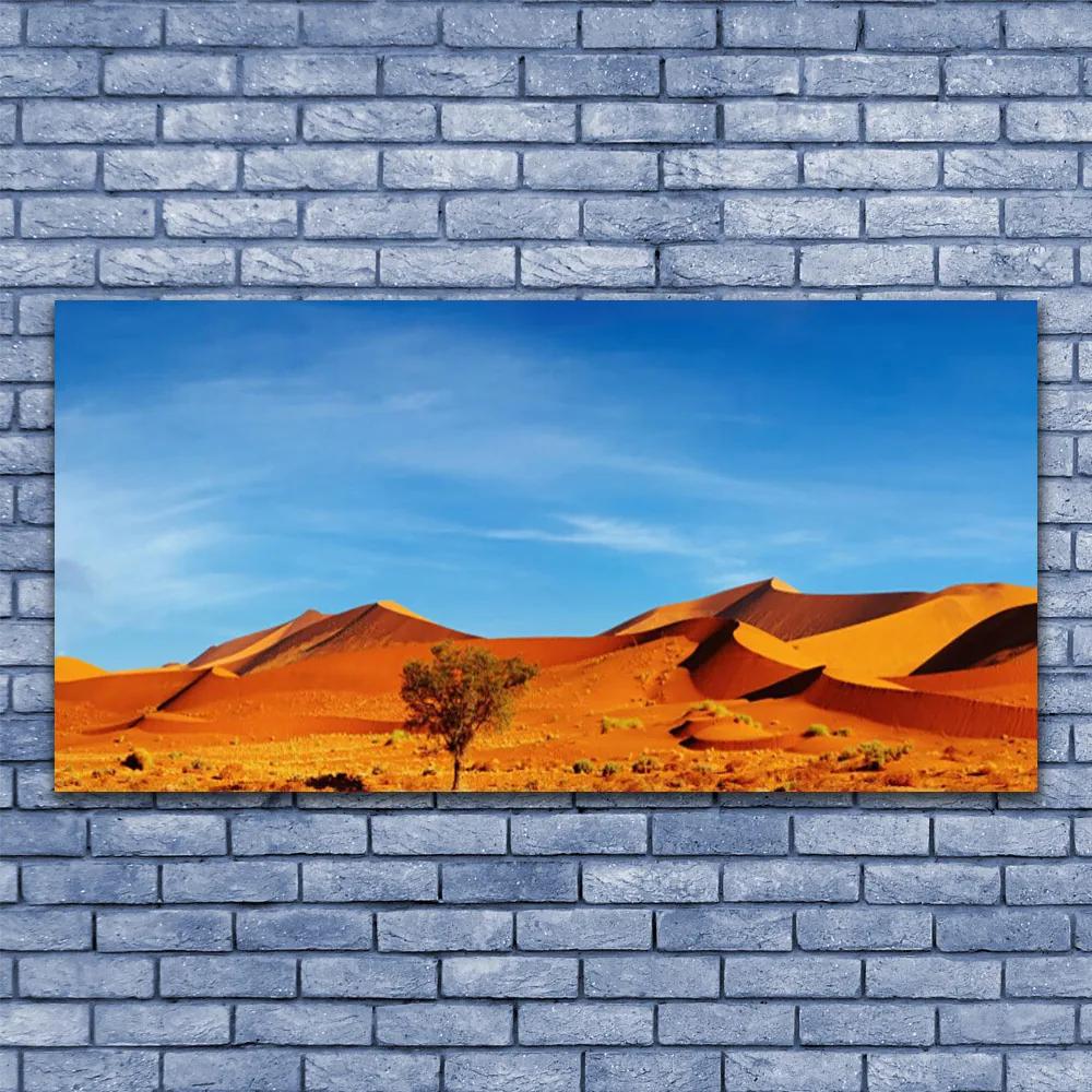 Plexisklo-obraz Poušť Krajina 120x60 cm
