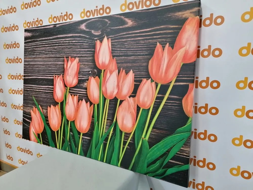 Obraz očarující oranžové tulipány na dřevěném podklade