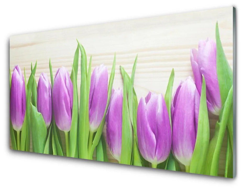 Plexisklo-obraz Tulipány Květiny Příroda 125x50 cm