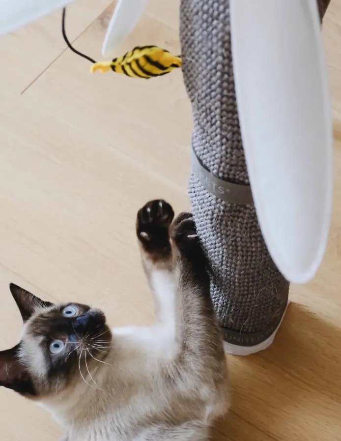 United Pets Škrabadlo pro kočky na nohu stolu květina