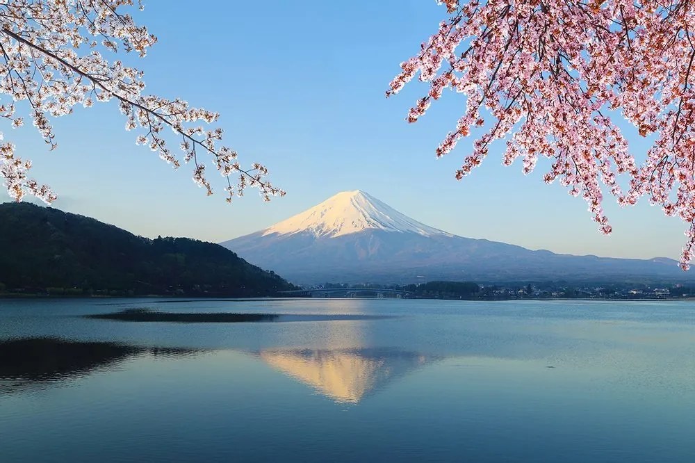 Fototapeta výhled z jezera na Fuji - 225x150 cm