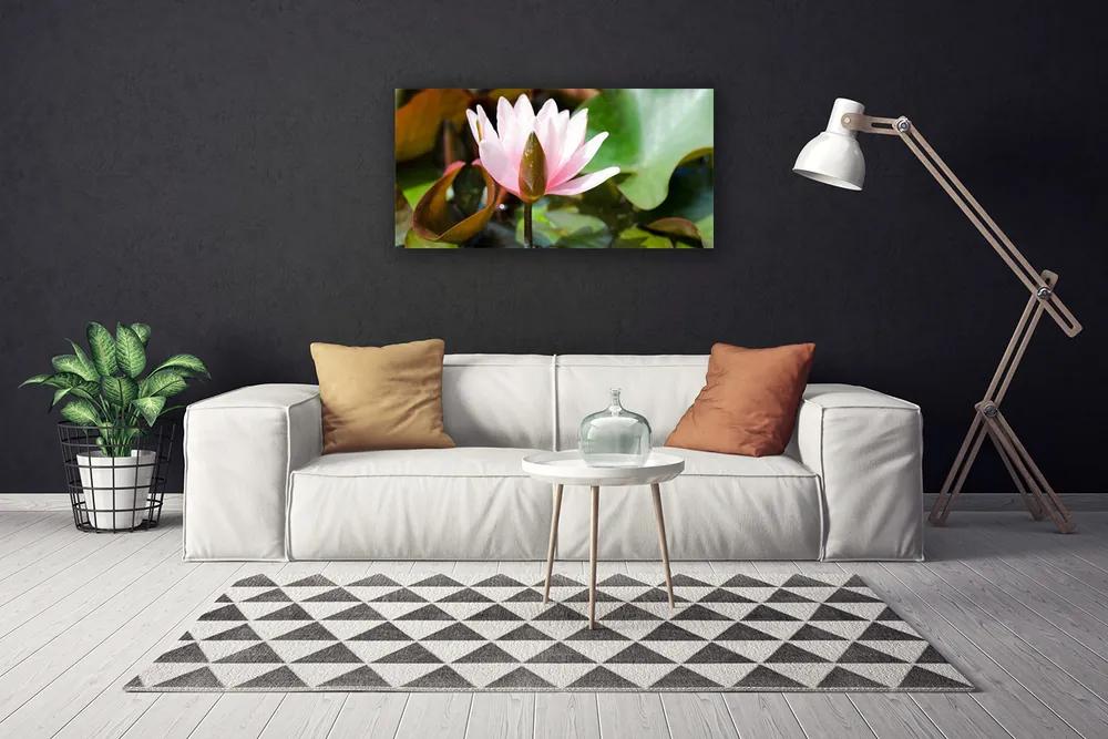 Obraz na plátně Květ Rostlina Příroda 100x50 cm