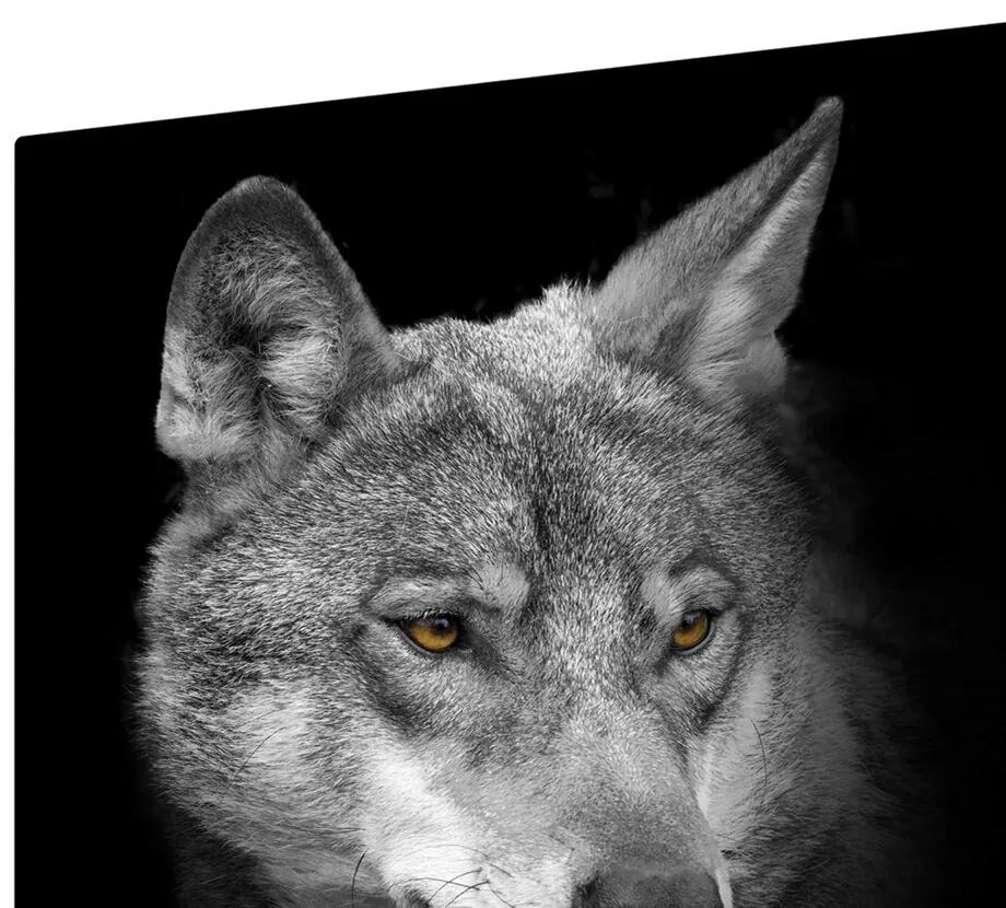 Skleněná krájecí deska vlk 60x52 cm