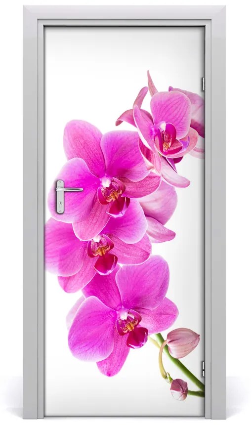 Fototapeta samolepící Růžová orchidej 75x205 cm