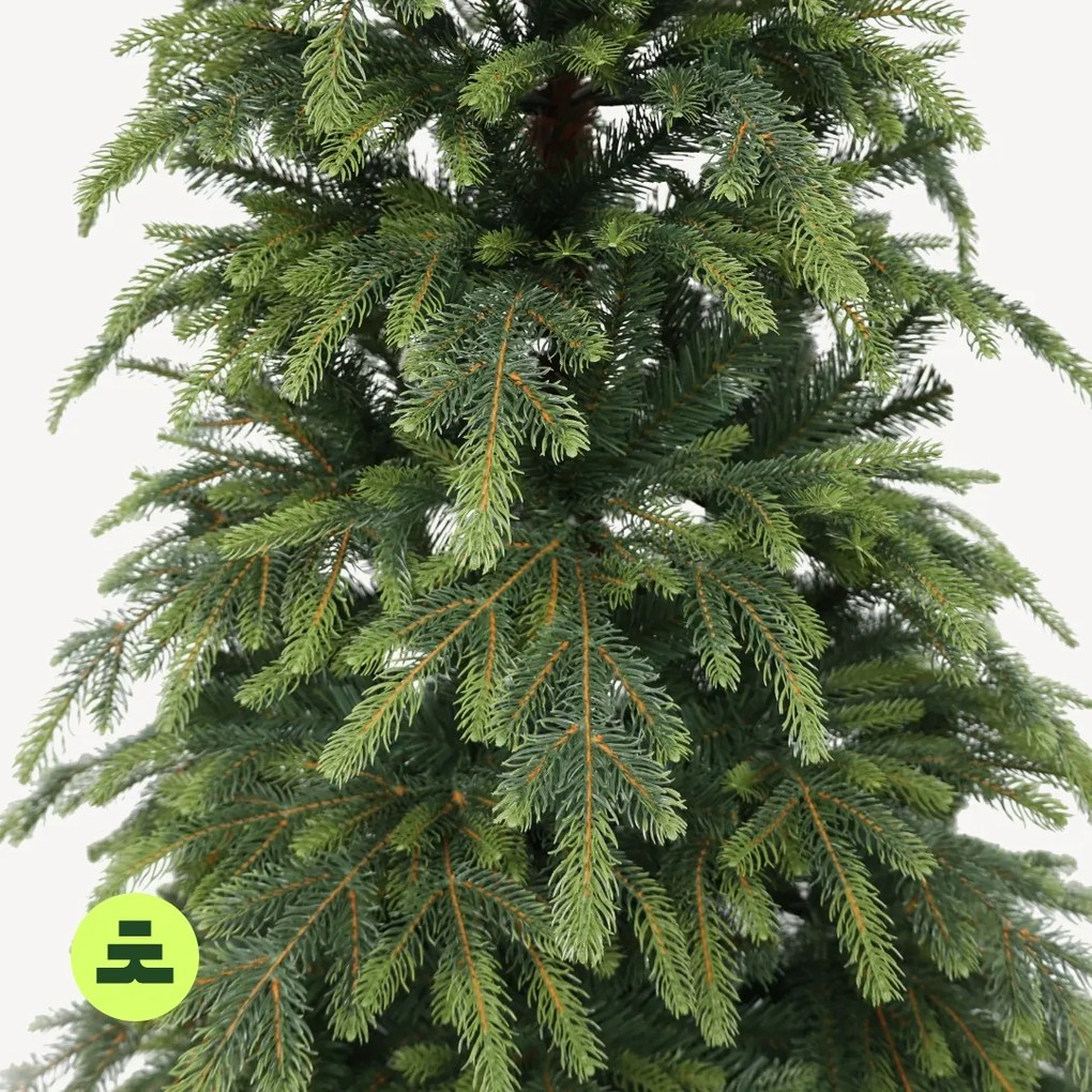 Smrk Natura 210 cm