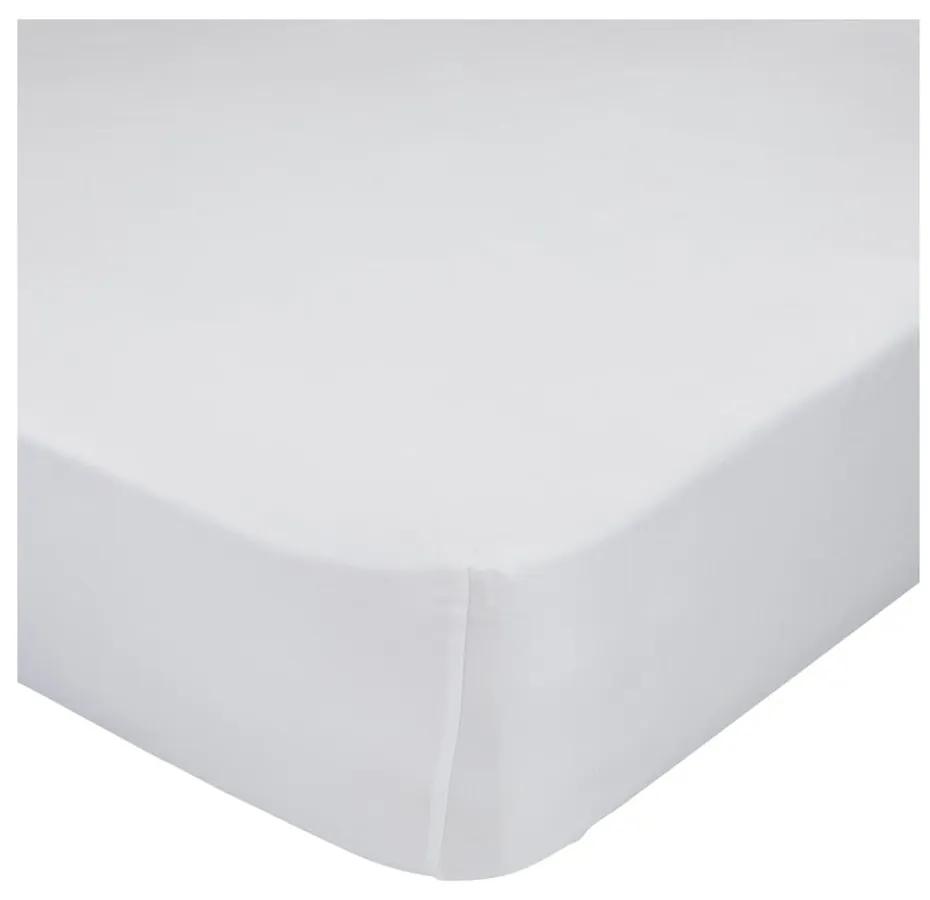 Bílé bavlněné elastické prostěradlo Happy Friday Basic, 60 x 120 cm