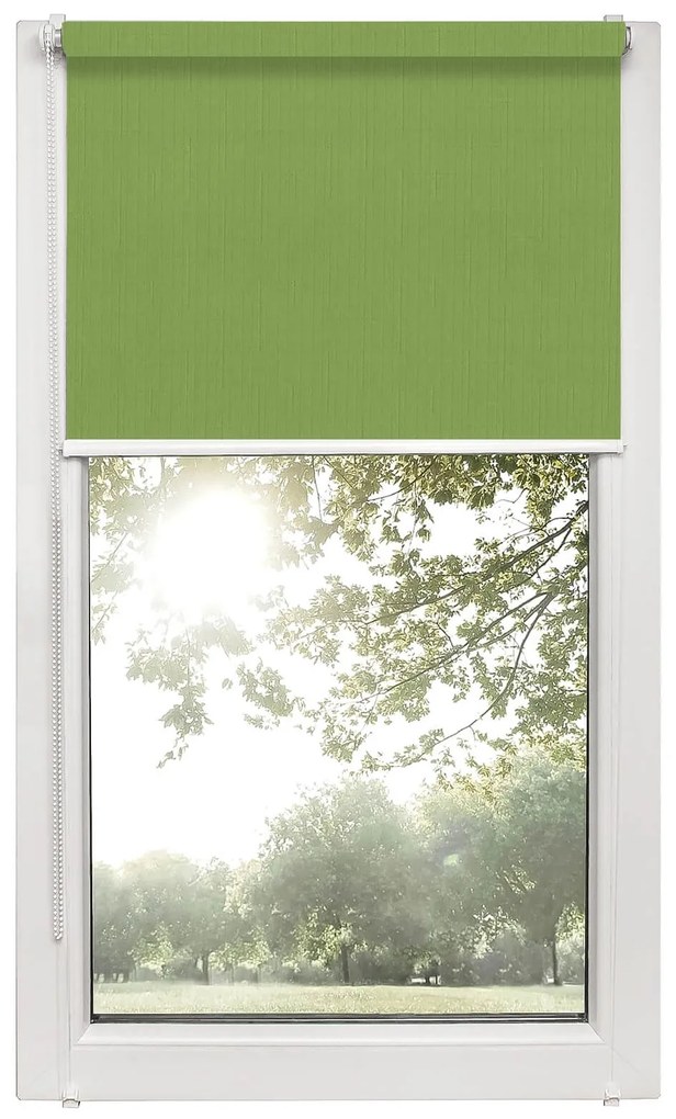 Roleta na okno - Polyester 2098 Barva ovládání: Hnědá, šířka: 62, výška: 150