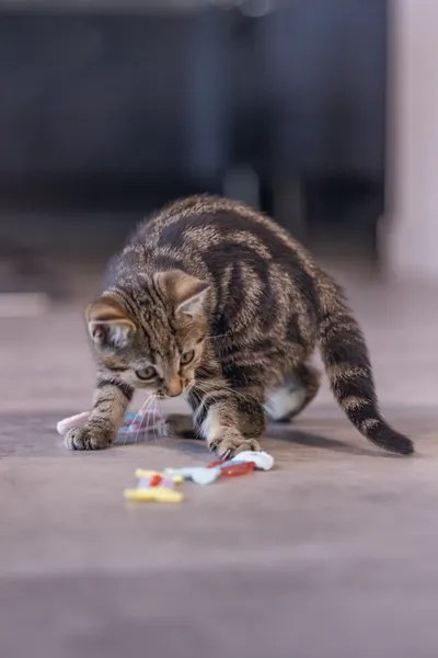Beeztees Plyšová hračka pro kočky s peřím Rybičky 3 ks