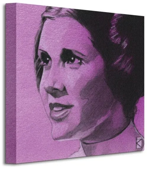 Art Group Obraz na plátně Star Wars Princess Leia Sketch 30x30cm
