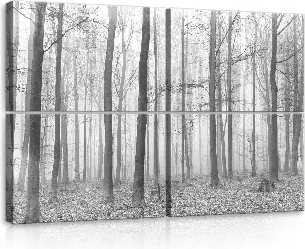 Obraz 120x80 Les v mlze monochromatická krajina, černobílé stromy, příroda