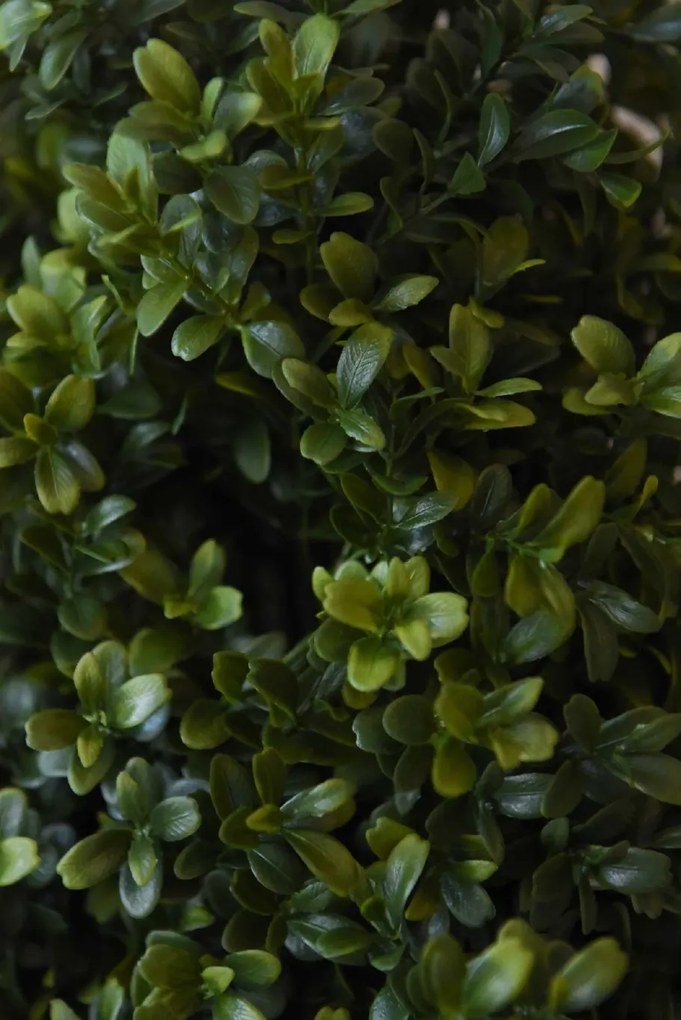 Umělý buxus BUXA, plast, výška 70 cm, zelený