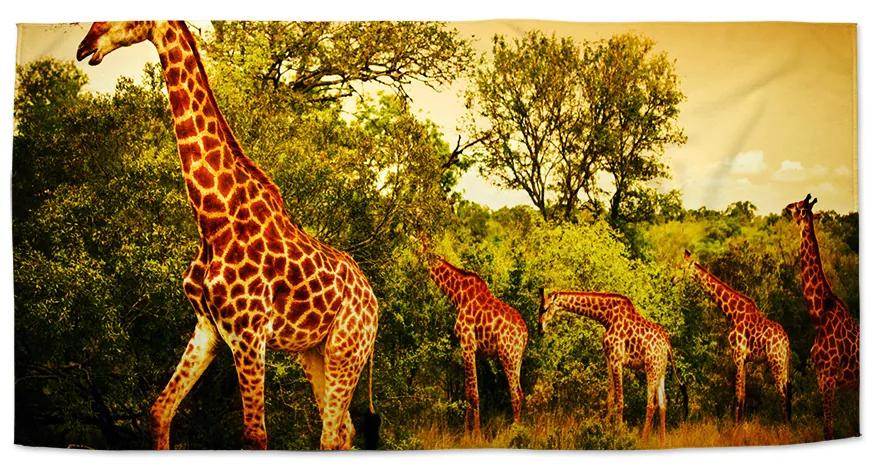 Ručník SABLIO - Žirafy 50x100 cm