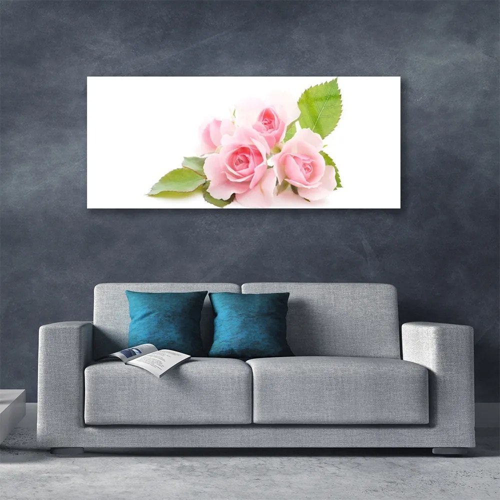 Plexisklo-obraz Růže Květiny Příroda 125x50 cm
