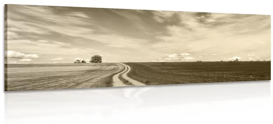 Obraz čarokrásná krajina v sépiové provedení - 135x45 cm