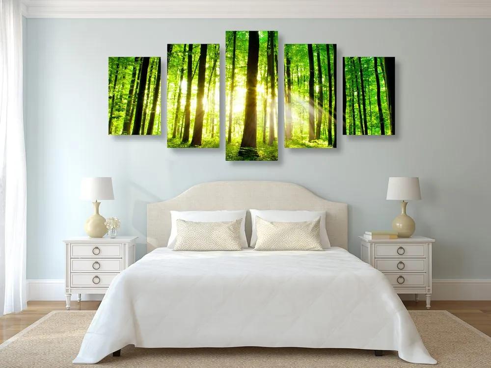 5-dílný obraz svěží zelený les Varianta: 100x50