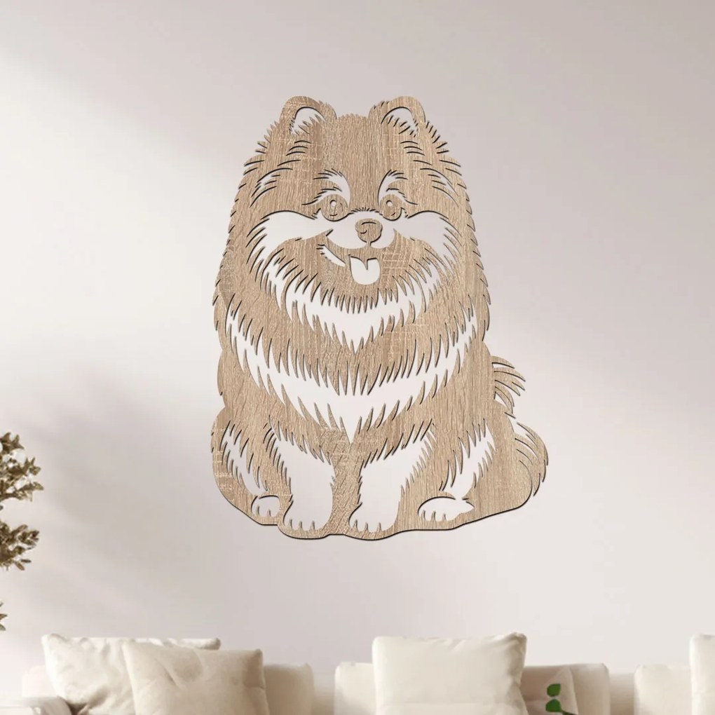 dřevo života Dřevěný obraz psa Pomeranian Zvolte rozměr (cm): 45x60, Zvolte barvu dekoru: Černá