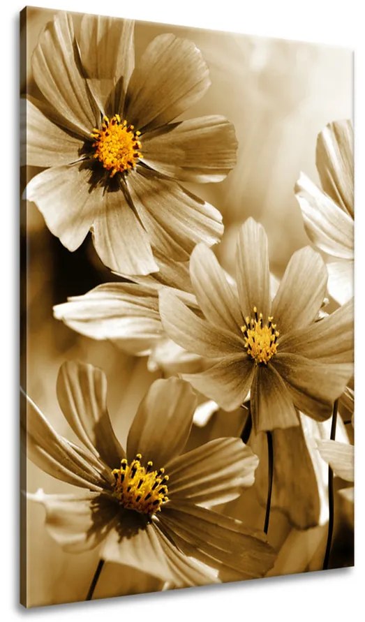 Gario Obraz na plátně Květnatá krása Velikost: 70 x 100 cm