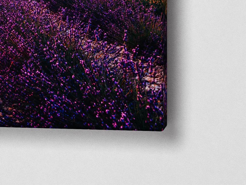 Liox Obraz západ slunce Provence Rozměr: 150 x 100 cm
