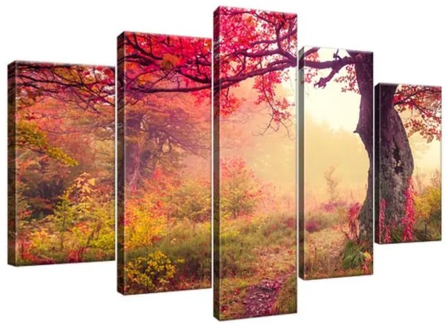 Tištěný obraz Podzimní příroda 100x63cm 2510A_5D