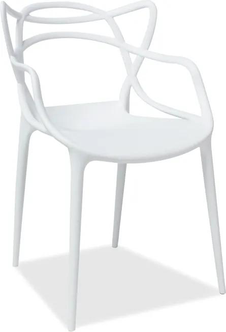 MAXIVA Jídelní židle - TOBY, různé barvy na výběr Sedák: bílý (plast)