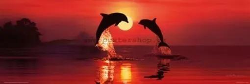 Plakát - Lassen dolphin dawn (2)