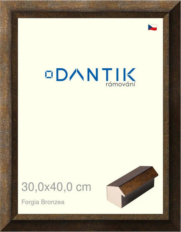 DANTIK rámeček 30x40 | Forgia Bronzea (Plexi Čiré)
