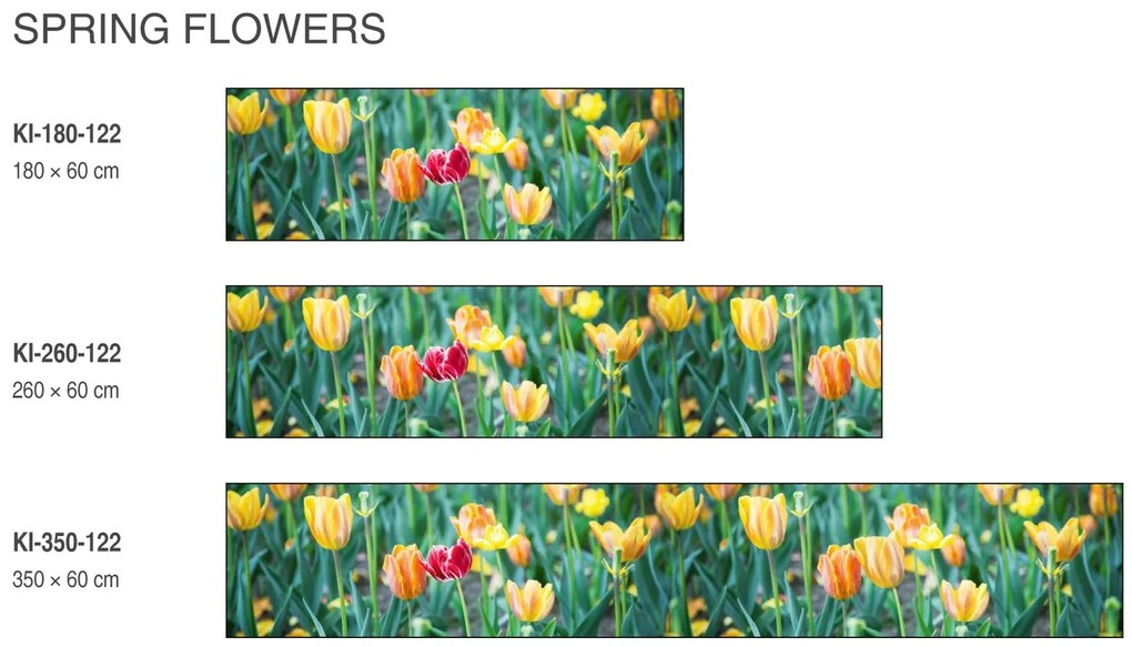 DIMEX | Fototapeta do kuchyně Tulipány KI-180-122 | 180 x 60 cm | zelená, červená, žlutá