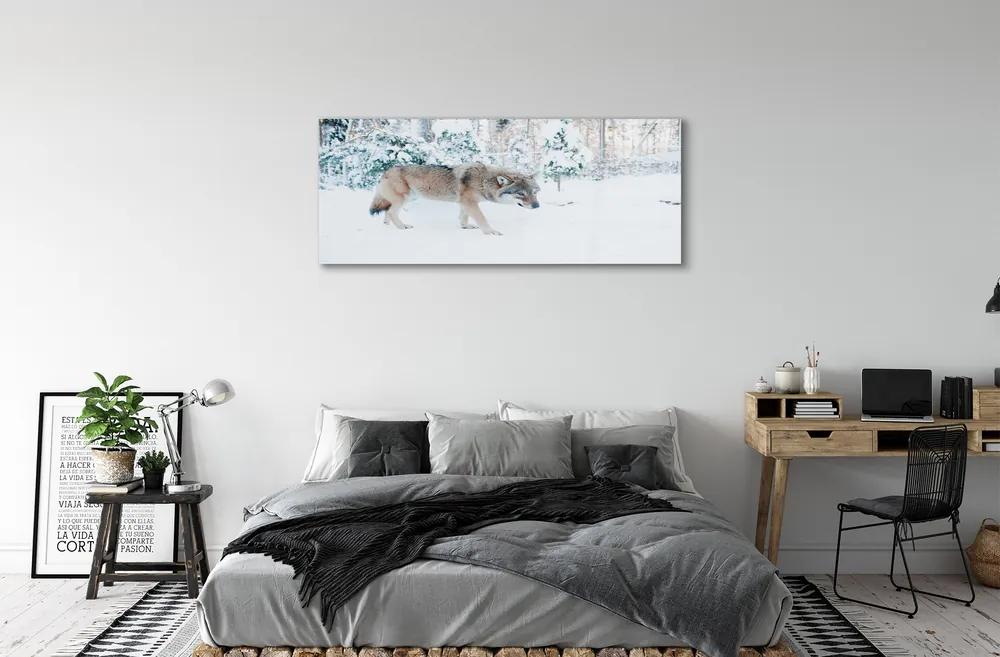 akrylový obraz Vlk v zimě lese 120x60 cm