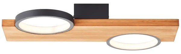 Brilliant - LED Stropní svítidlo CHEESY LED/14W/230V