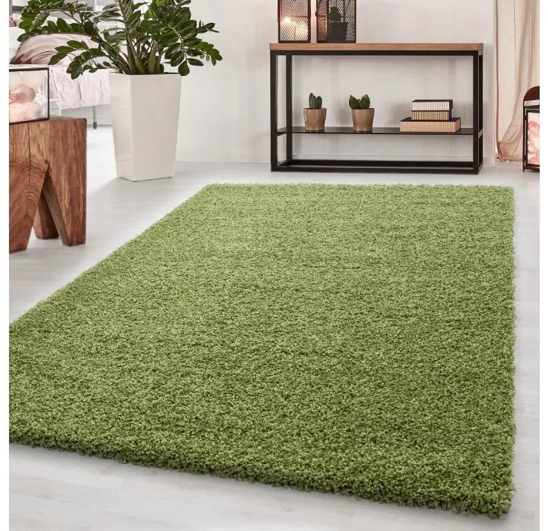 Ayyildiz koberce Kusový koberec Dream Shaggy 4000 green Rozměry koberců: 65x130