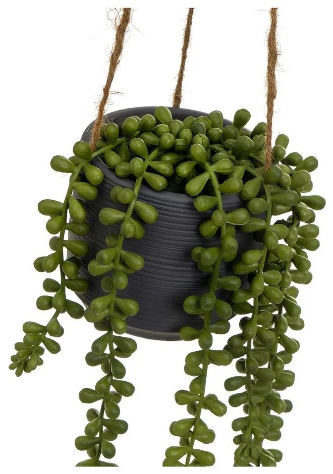 Umělá rostlina (výška 37 cm) Senecio – Casa Selección