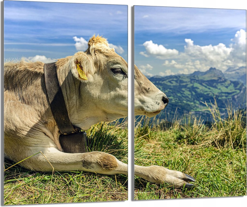 Skleněná ochranná deska na sporák 2x30x52 Kráva Do Kuchyně