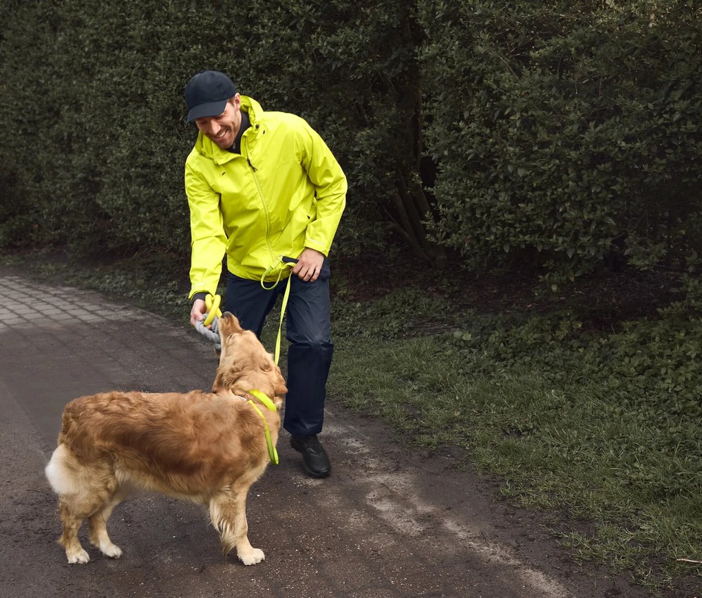 Tchibo - LED obojek pro psy - barva: žlutá