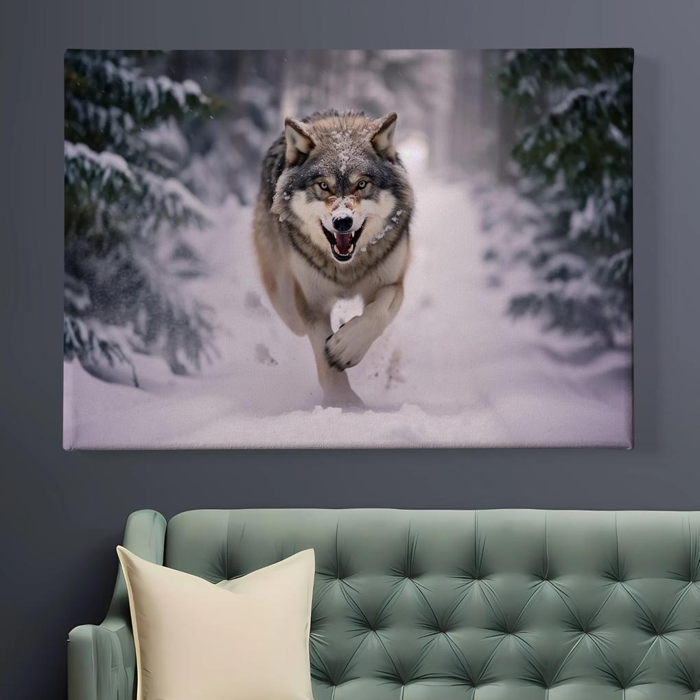 Obraz na plátně - Vlk běžící zasněženou krajinou FeelHappy.cz Velikost obrazu: 120 x 80 cm