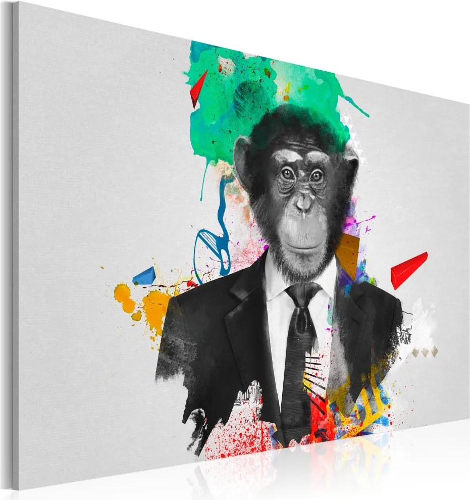 Obraz na plátně Bimago - Mr Monkey 60x40 cm