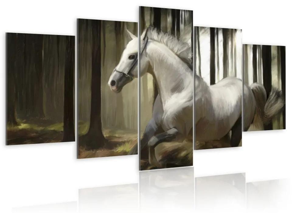 Obraz na plátně Bimago - Kůň mezi stromy 100x50 cm