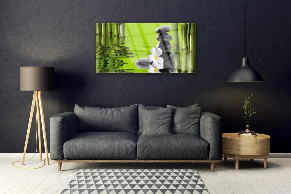 Obraz na skle Bambus Kameny Rostlina 100x50 cm