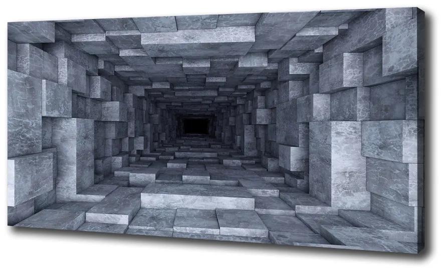 Wallmuralia Foto obraz na plátně Tunel 100x50